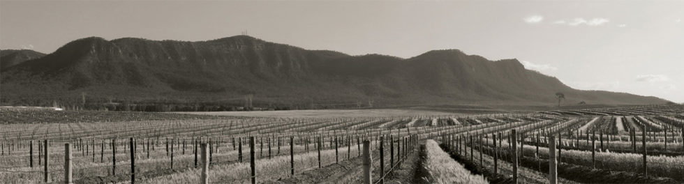 Silkman - Bourget Imports | Importer & Wholesale Distributor of Fine ...